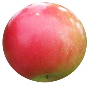 Castle Rock Orchards - Zestar!